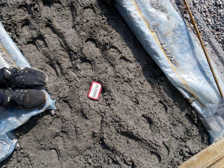 Perustukset for dummies, osa 1: anturat | Kakskulma